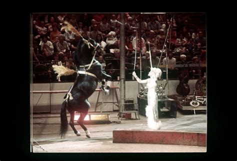 27 Color Pictures Of Ringling Brothers And Barnum And Bailey Circus