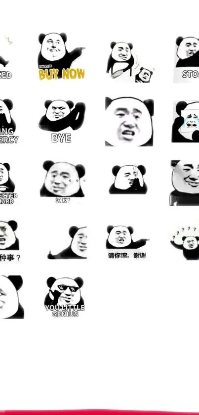 Funny Panda Meme Wallpaper Free Download