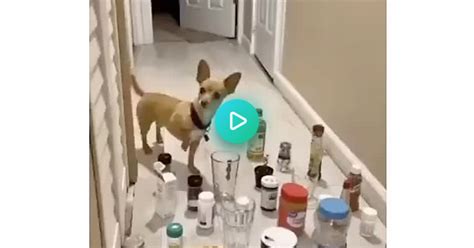 Unstoppable Album On Imgur