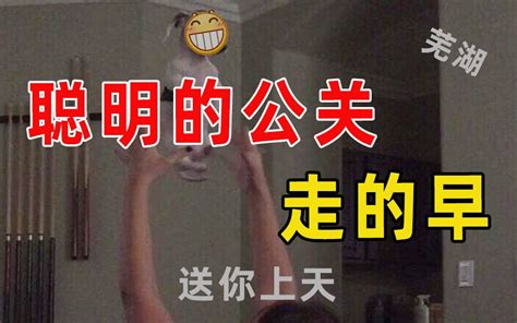 【半佛】聪明的公关，走的早。 硬核的半佛仙人 硬核的半佛仙人 哔哩哔哩视频