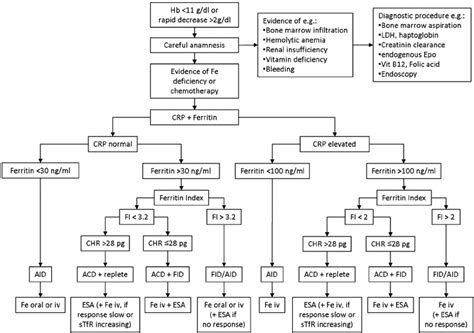 Proposal Of A Diagnostic And Treatment Algorithm Incorporating The Download Scientific Diagram