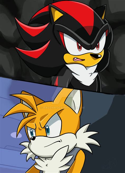 Tails X Shadow Sonic And Shadow Face Off On New Sonic The Hedgehog 3