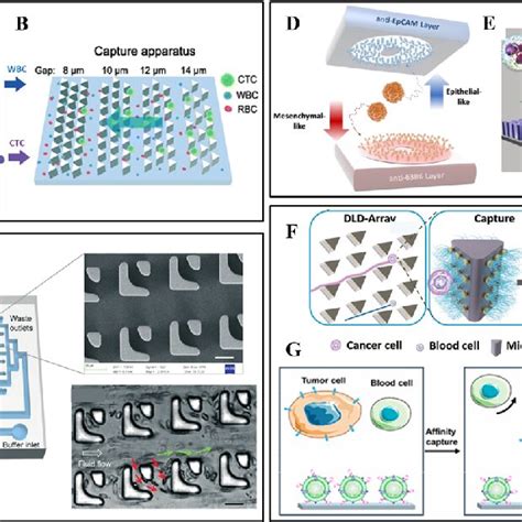 Schematic Illustrations Of A Micro Nanostructure Integrated Download Scientific Diagram