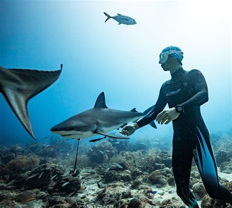 Laffin Eddy France Apnée