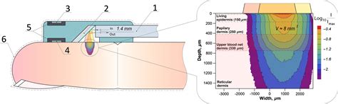 Combined Use Of Laser Doppler Flowmetry And Skin Thermometry For Functional Diagnostics Of