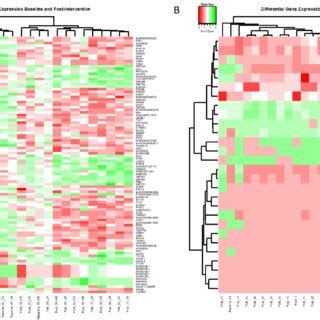 Heatmap And Hierarchical Clustering Of The Differentially Expressed