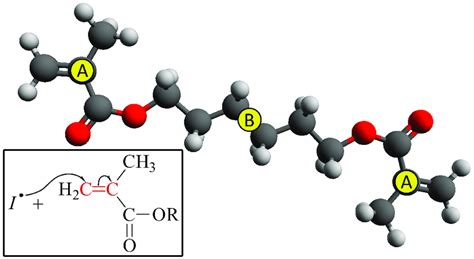 Structure Of The 16 Hexanediol Dimethacrylate Monomer With Yellow