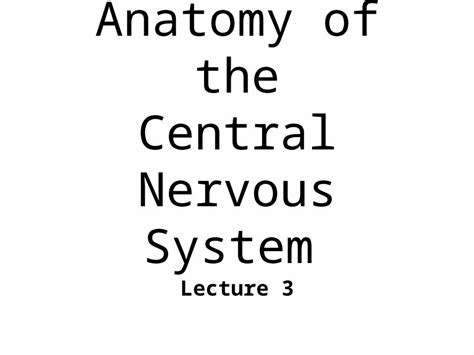 Ppt Anatomy Of The Central Nervous System Lecture 3 Telencephalon