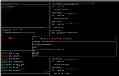 Lazygit Git可视化操作方案 Csdn博客