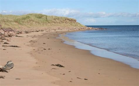 Sandy Beach Brora Photo Uk Beach Guide