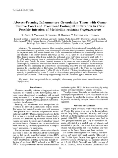 Ozaki Et Al 2003 Abscess Forming Inflammatory Granulation Tissue With