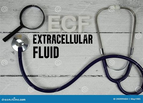 Ecf Extracellular Fluid Body Fluid That Is Not Contained In Cells Acronym Text Concept Stamp
