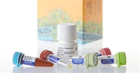 Glutamate Glo® Assay