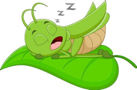Premium Vector Cartoon Grasshopper Sleeping On A Leaf Premium Vector Cartoon Grasshopper Sleeping On A Leaf