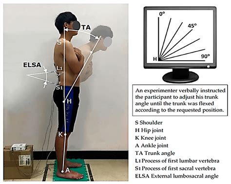 Trunk Flexion Test