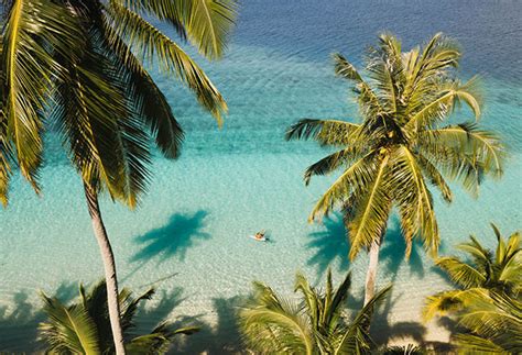 Hôtel De Catégorie Luxe à Sumatra Ref Clar