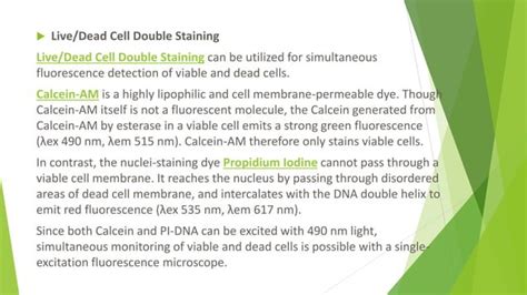 Cell Viability And Proliferation Assays Pptx Biological Sciences