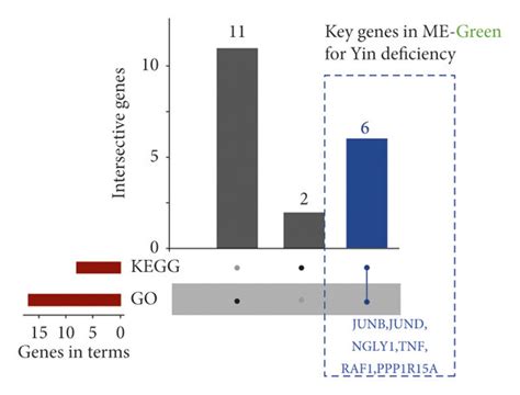 Functional Enrichment Analysis Of Gene Modules And Key Targets A And