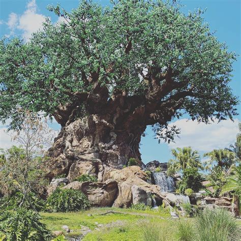 Sawin Pixie Dust By Kirstin Home Facebook