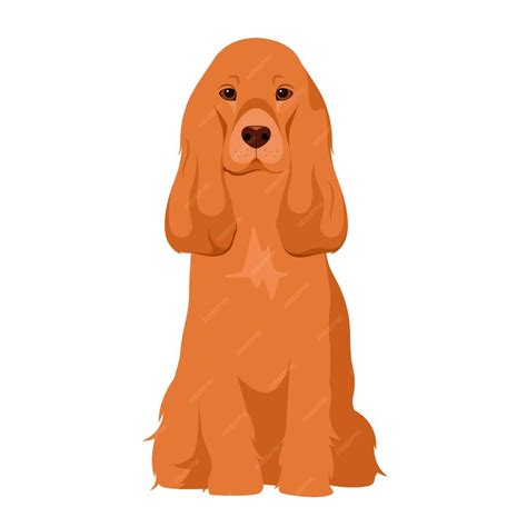 Cocker Spaniel Em Um Fundo Branco Projeto De Desenho Animado Vetor Premium