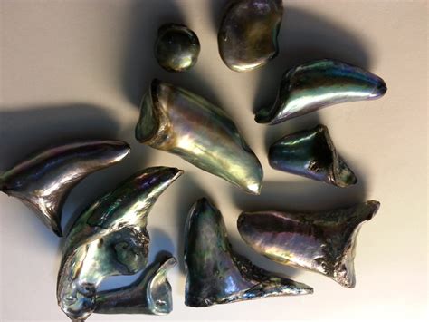 Perle Naturali Abalone Genisi Pearls