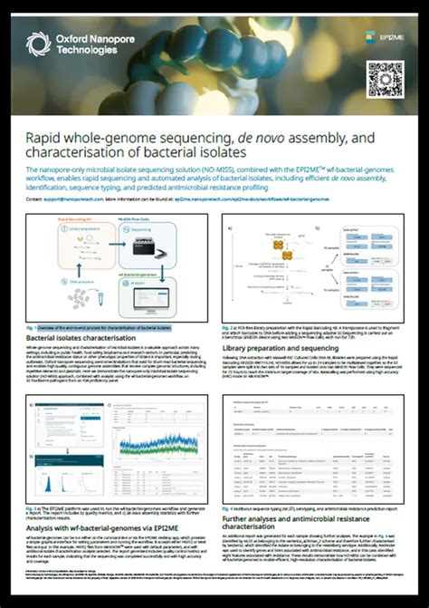 Rapid Whole Genome Sequencing De Novo Assembly And Characterisation