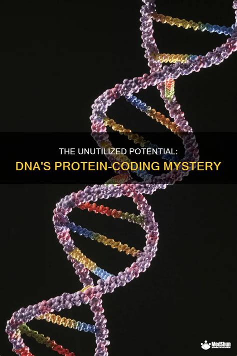 The Unutilized Potential Dnas Protein Coding Mystery Medshun