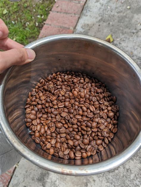Most Even Roast Ive Gotten On My Hive Roaster Cant Wait To Taste