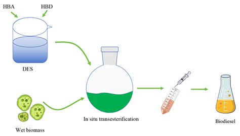Lewis Acid Base Site Assisted In Situ Transesterification Catalysis To