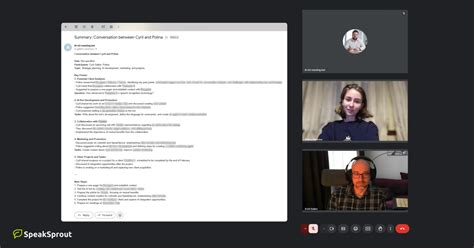 Language Detection Challenges In Meeting Summarization Practical