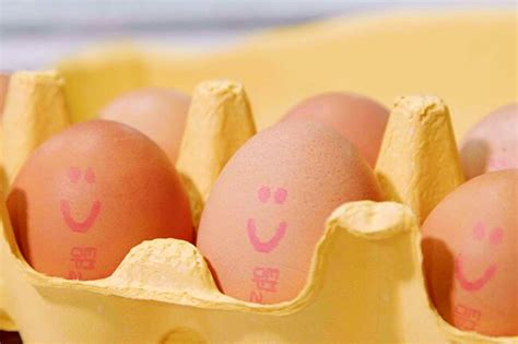 Insignias Coding And Labelling Solutions Boost Supply Chain Traceabil