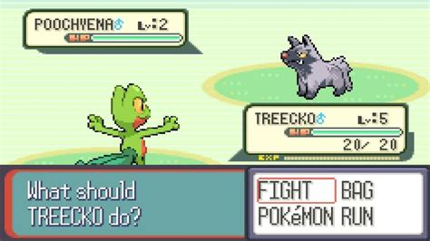 Pokémon Day Npr Staff Share Their Favorite Pokémon Memories Npr