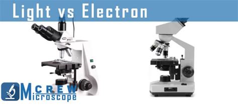 Difference Between Light And Electron Microscope Microscope Crew