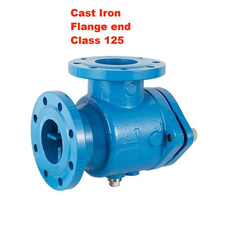 Bs4504 Flanged Class 125 Suction Diffuser Valve For Pump And Pumping