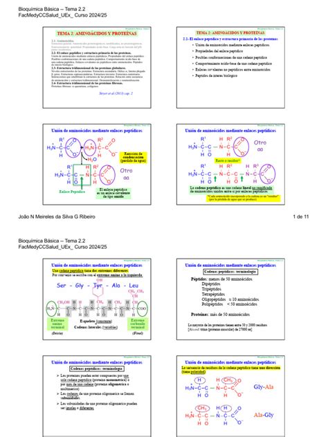 Bbas 2425 Tema 22 Diapositivas Pdf