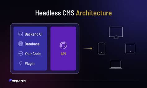 What Is Headless Cms How To Use It For One Site Or Multisite