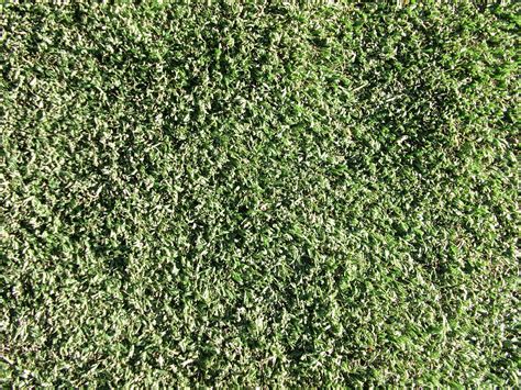 Artificial Grass Free Photo Download Freeimages