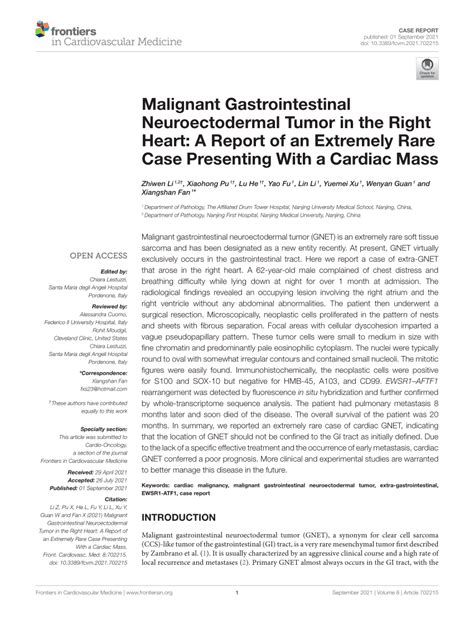 Pdf Malignant Gastrointestinal Neuroectodermal Tumor In The Right Heart A Report Of An
