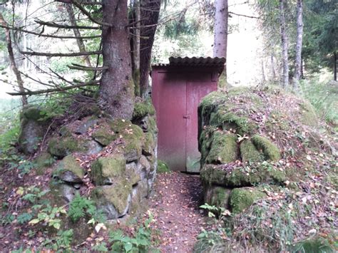 Johan Algot Johansson Och Jenny Hildegard Persdotter Mina Rötter