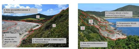 Demarcation Examples Of Geoseries Individuals On The Sandy And Rocky