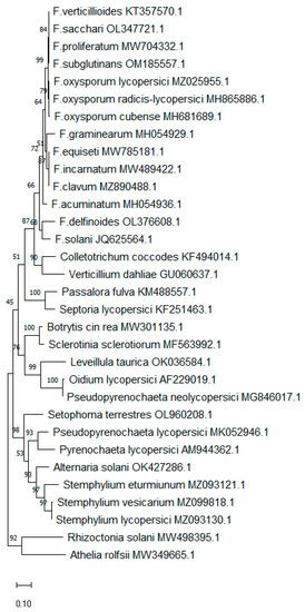 Biology Special Issue New Advances In Molecular Diagnostics Of Crop