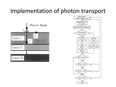 Ppt Monte Carlo Simulation Of Photon Migration Powerpoint Presentation Id2660918