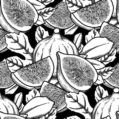 Seamless Pattern Of Fig Fruits And Leaves Stock Vector Illustration Of Organic Realistic