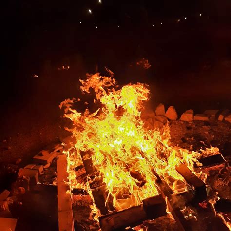 חוגגים לג בעומר בחמל