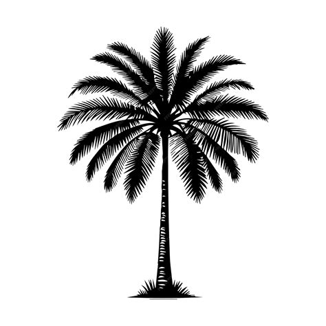 Coconut Tree Vector Premium Ai Generated Vector