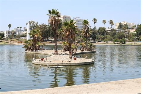 Macarthur Park Los Ángeles 2021 Lo Que Se Debe Saber Antes De