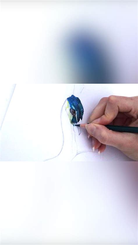 Realistic Peacock Drawing