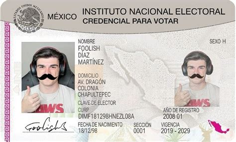 Credencial Mexicana De Foolish Ine Ine Falsa Mexicana Plantilla