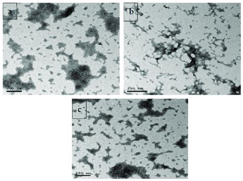 Transmission Electron Microscopy Nanoparticles Loaded With