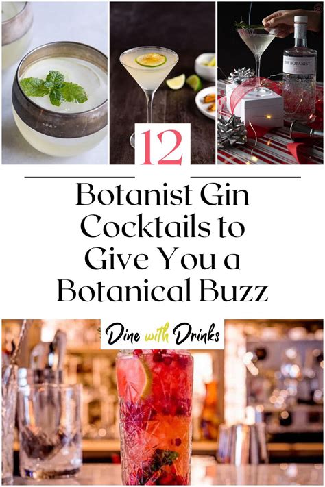 12 Botanist Gin Cocktails To Give You A Botanical Buzz Dinewithdrinks